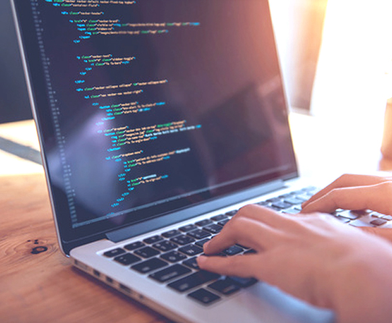 Cell it! - Jobs & Karriere